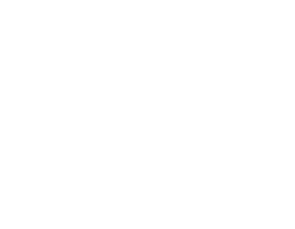About Anamet Products