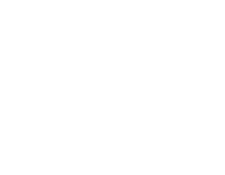 About Anamet Products